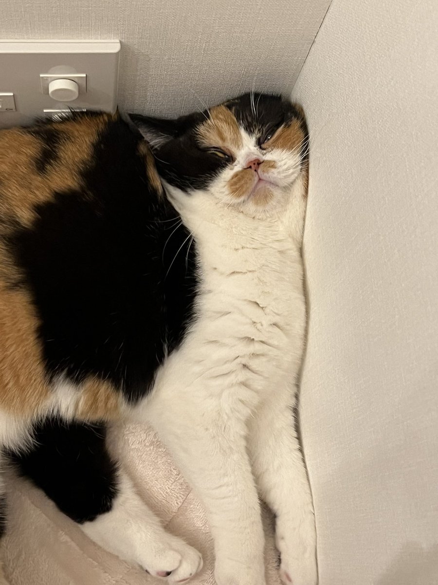 つぶやきピックアップ - Yahoo!リアルタイム検索