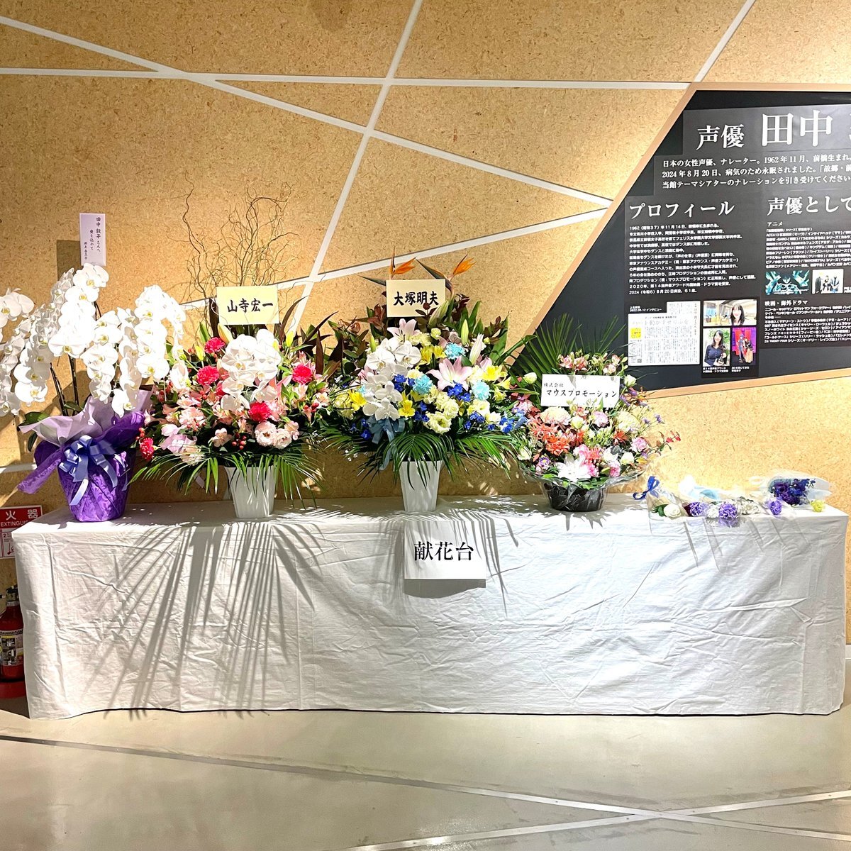 人気ポスト(@historia_mbs) - Yahoo!リアルタイム検索