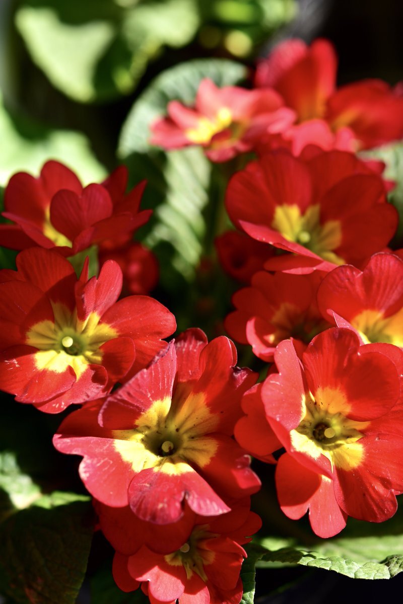 人気ポスト(@hamutahamuhamu) - Yahoo!リアルタイム検索