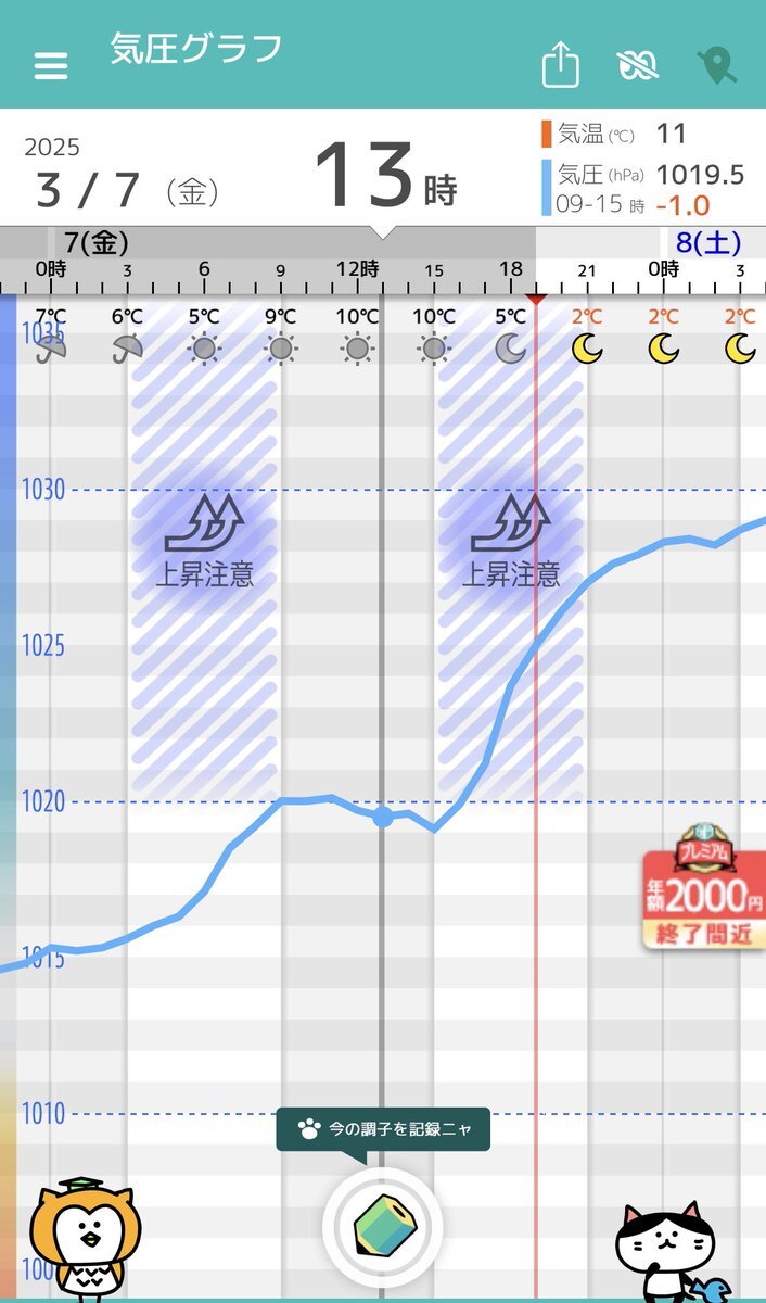 人気ポスト(@wanko_notcat) - Yahoo!リアルタイム検索