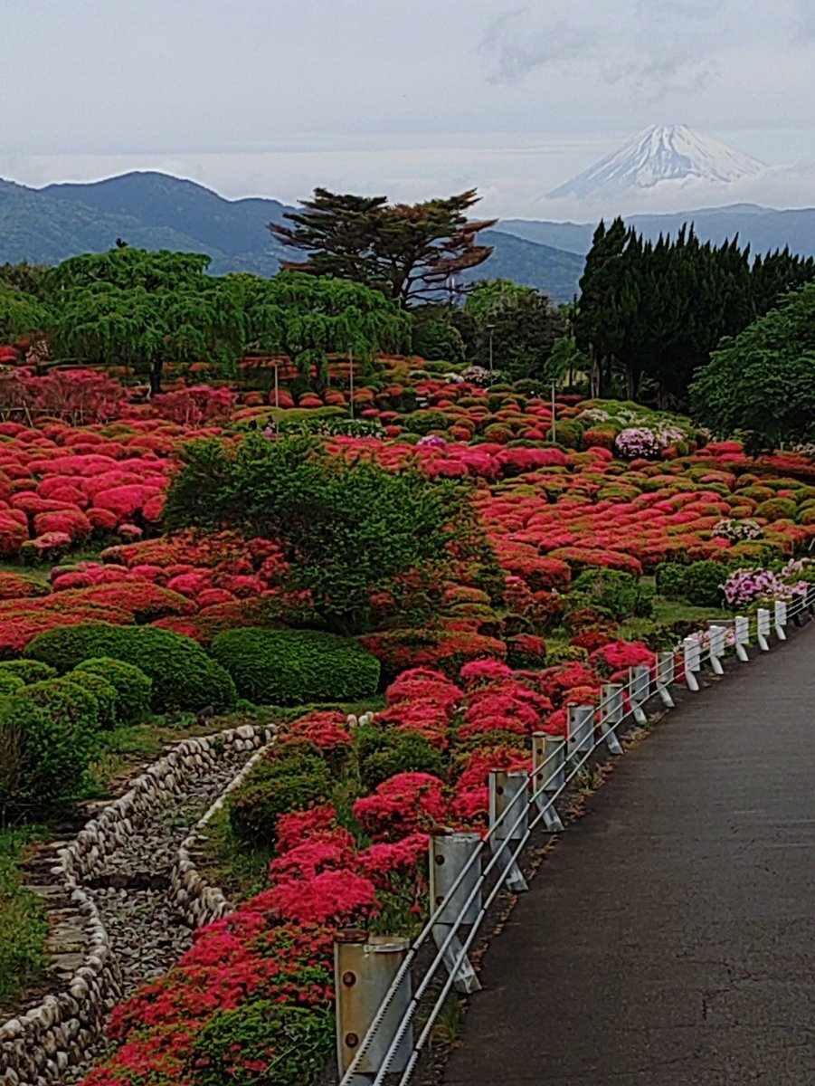 人気ポスト(@atsu_umi) - Yahoo!リアルタイム検索