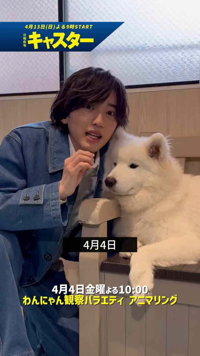 人気ポスト(@caster_tbs) - Yahoo!リアルタイム検索