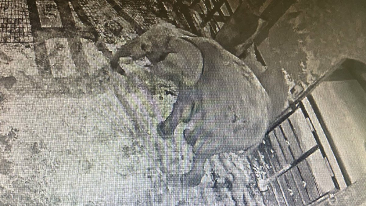 人気ポスト(@asa_zoo) - Yahoo!リアルタイム検索