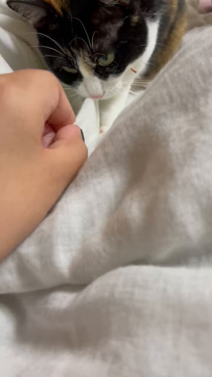 人気ポスト(@botan_hijikata) - Yahoo!リアルタイム検索