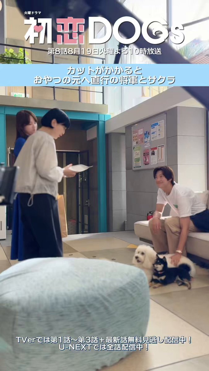 人気ポスト(@hatsukoi_dogs) - Yahoo!リアルタイム検索