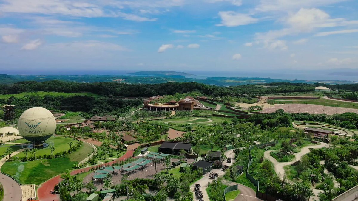 人気ポスト(@JUNGLIA_OKINAWA) - Yahoo!リアルタイム検索