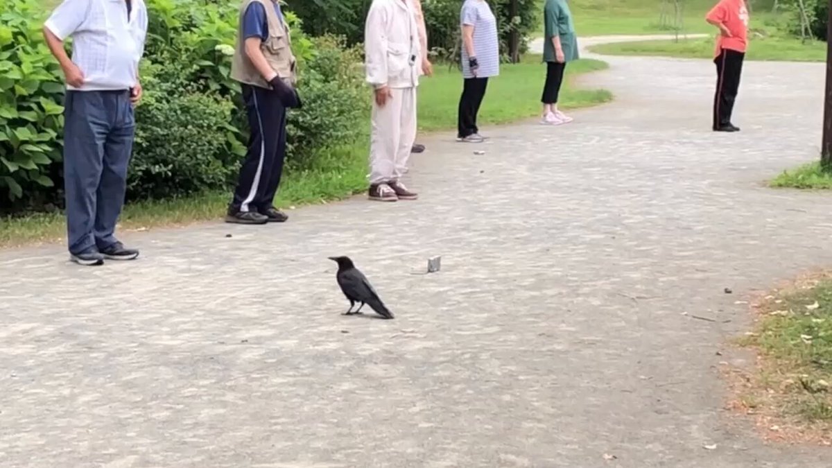 人気ポスト(@toshitaka_szk) - Yahoo!リアルタイム検索