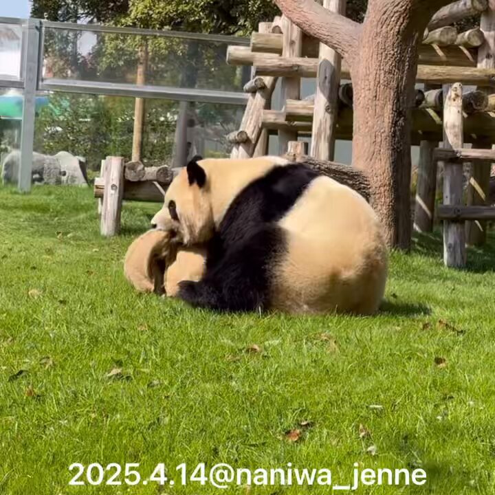 人気ポスト(@naniwa_jenne) - Yahoo!リアルタイム検索