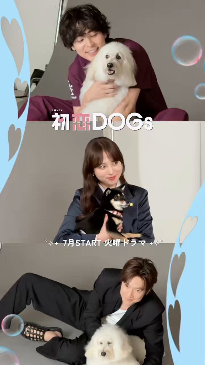 人気ポスト(@hatsukoi_dogs) - Yahoo!リアルタイム検索