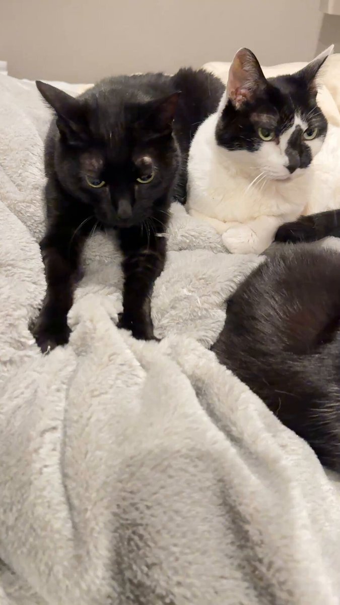 人気ポスト(@HOMEALONe_ksk) - Yahoo!リアルタイム検索