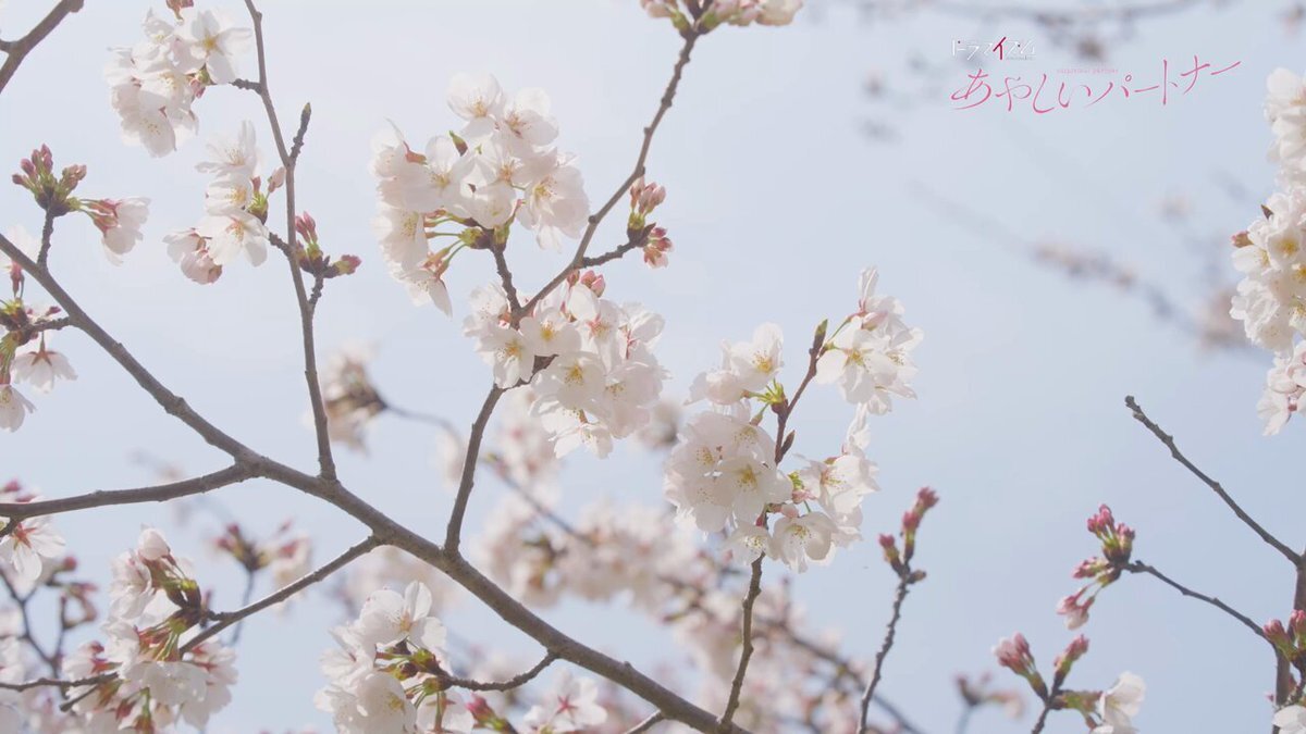 人気ポスト(@dramaism_mbs) - Yahoo!リアルタイム検索