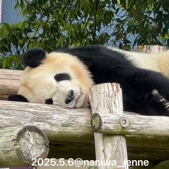 人気ポスト(@naniwa_jenne) - Yahoo!リアルタイム検索