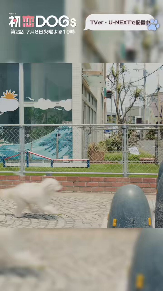 人気ポスト(@hatsukoi_dogs) - Yahoo!リアルタイム検索