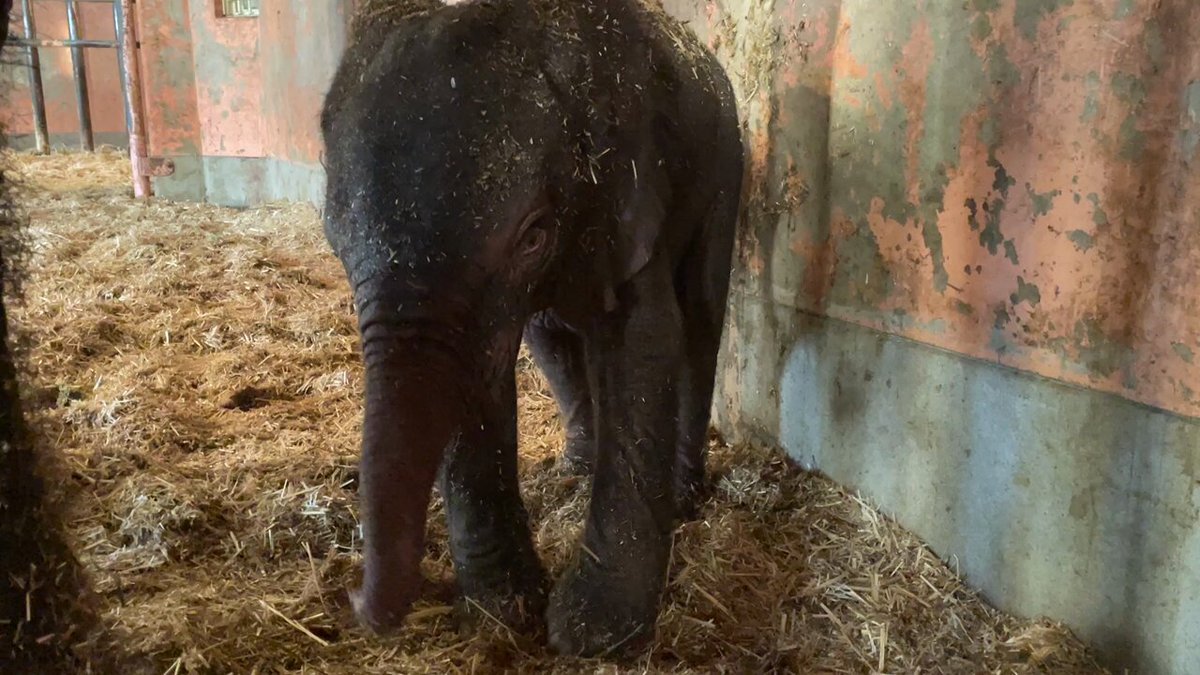 人気ポスト(@asa_zoo) - Yahoo!リアルタイム検索