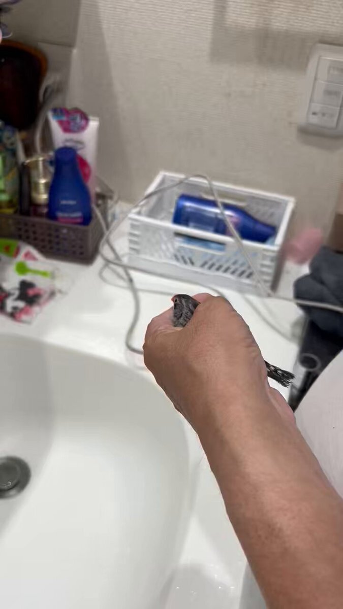 人気ポスト(@09s_c16) - Yahoo!リアルタイム検索