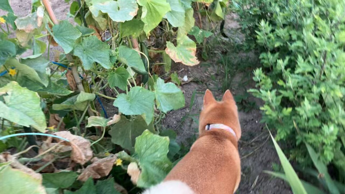 人気ポスト(@sanin_48_monaka) - Yahoo!リアルタイム検索