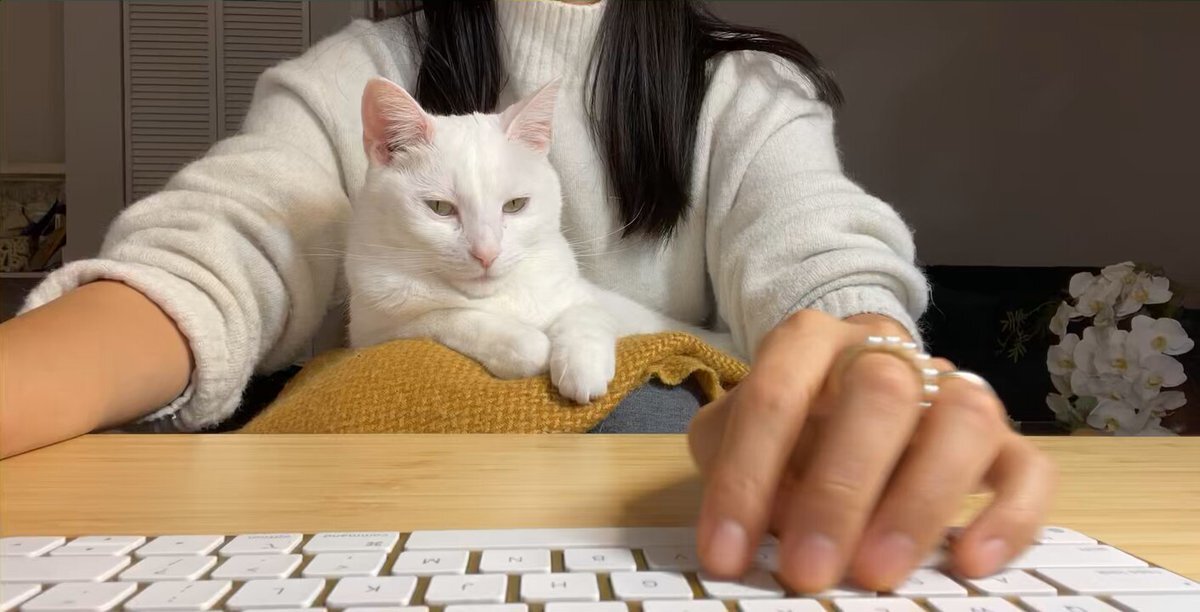 人気ポスト(@neko_ishokuju) - Yahoo!リアルタイム検索