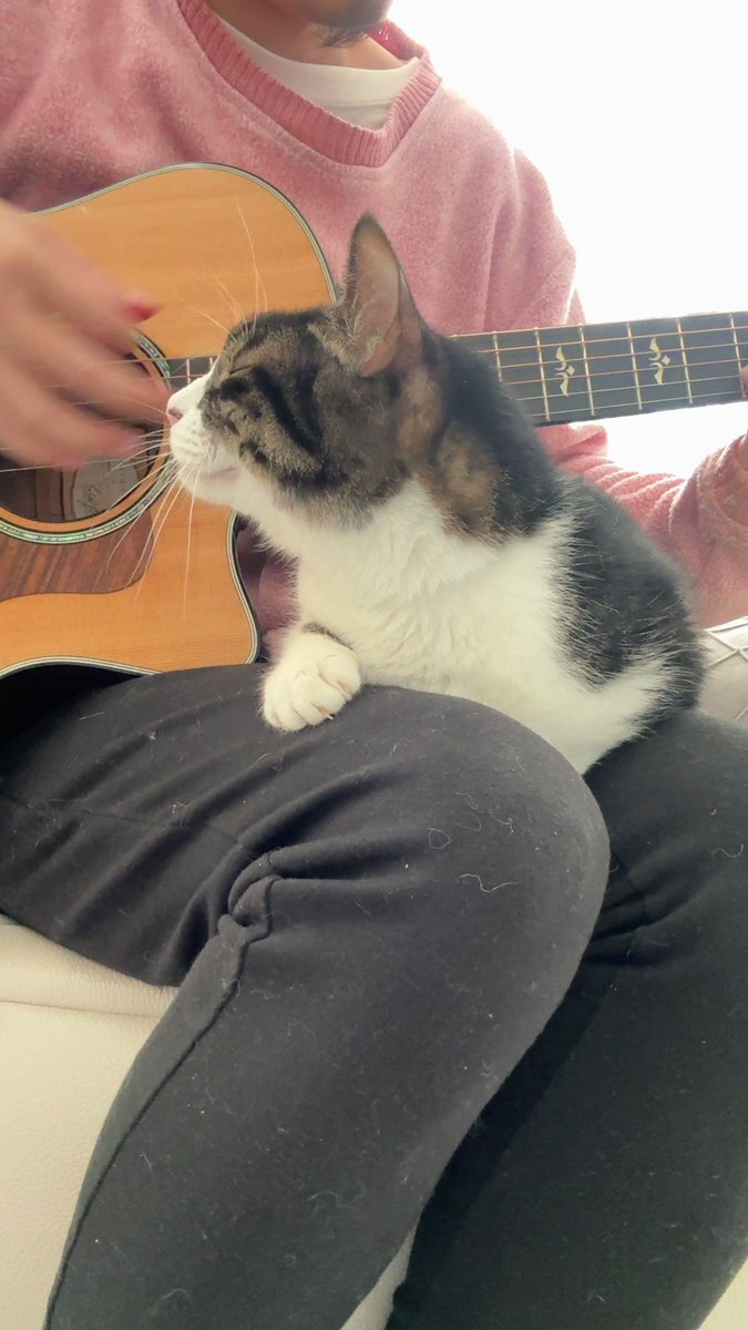 人気ポスト(@HOMEALONe_ksk) - Yahoo!リアルタイム検索