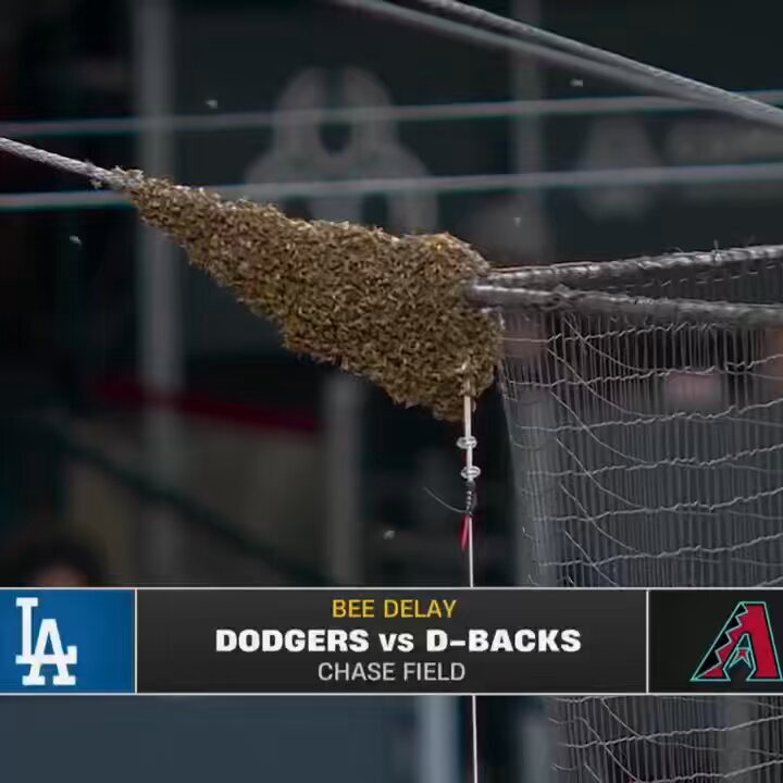 人気ポスト(@Dodgers) - Yahoo!リアルタイム検索