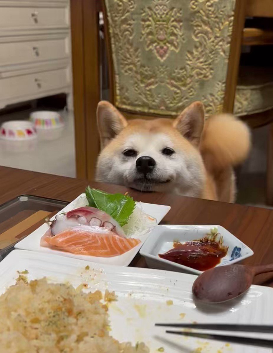 人気ポスト(@mofmof_kon) - Yahoo!リアルタイム検索