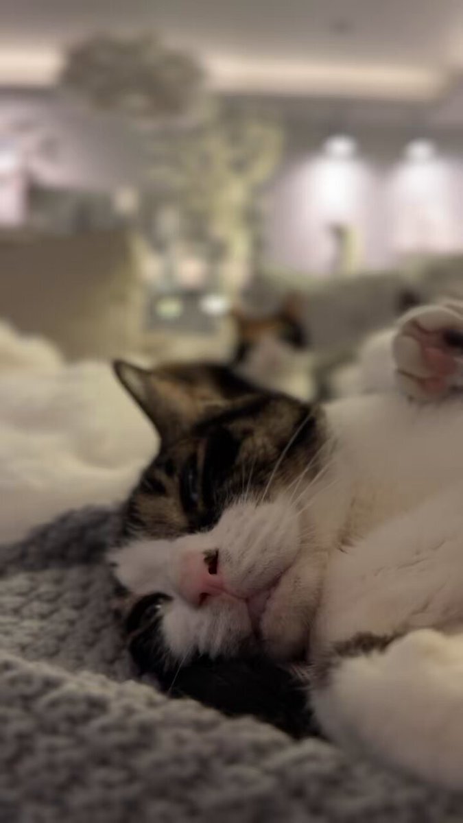 人気ポスト(@HOMEALONe_ksk) - Yahoo!リアルタイム検索