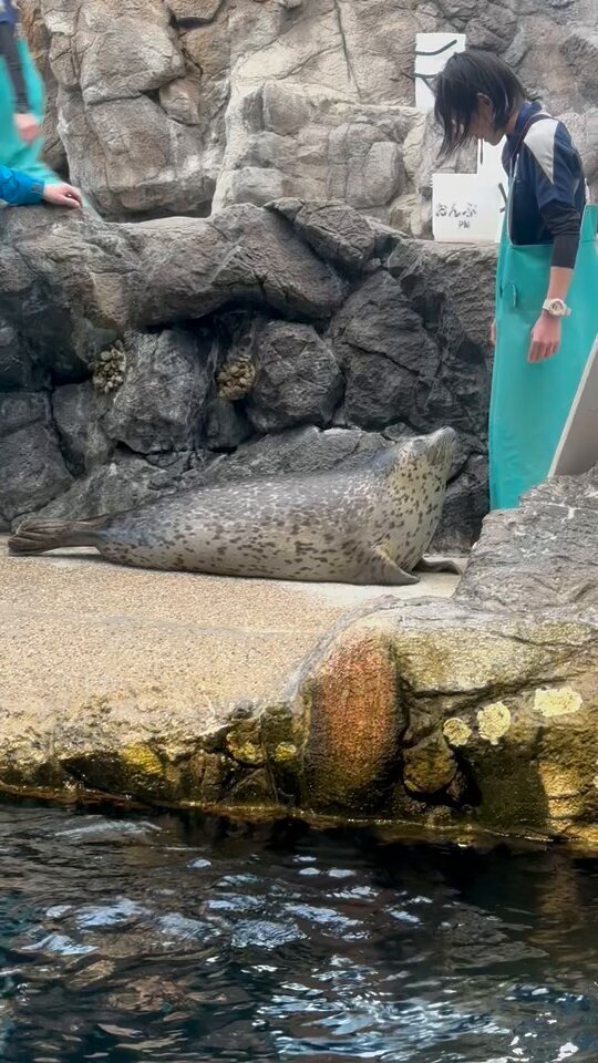 人気ポスト(@maru_00_m) - Yahoo!リアルタイム検索