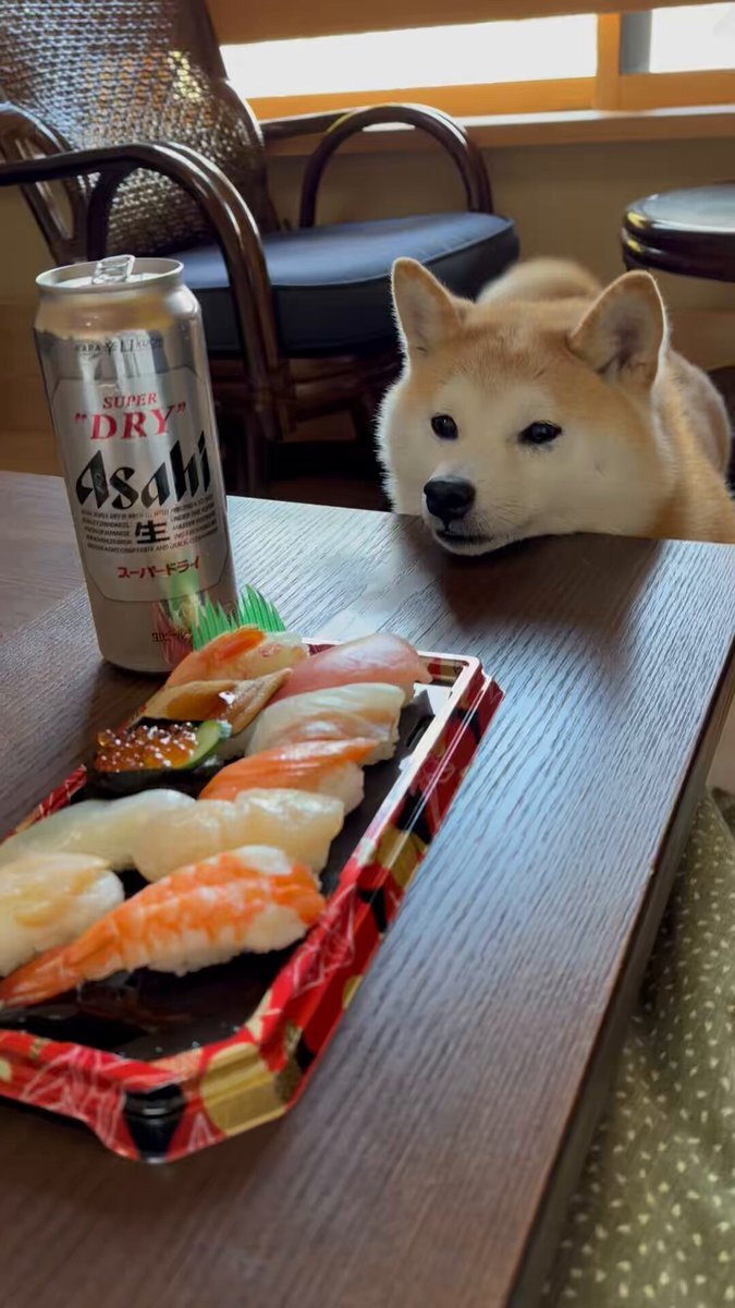 人気ポスト(@mofmof_kon) - Yahoo!リアルタイム検索